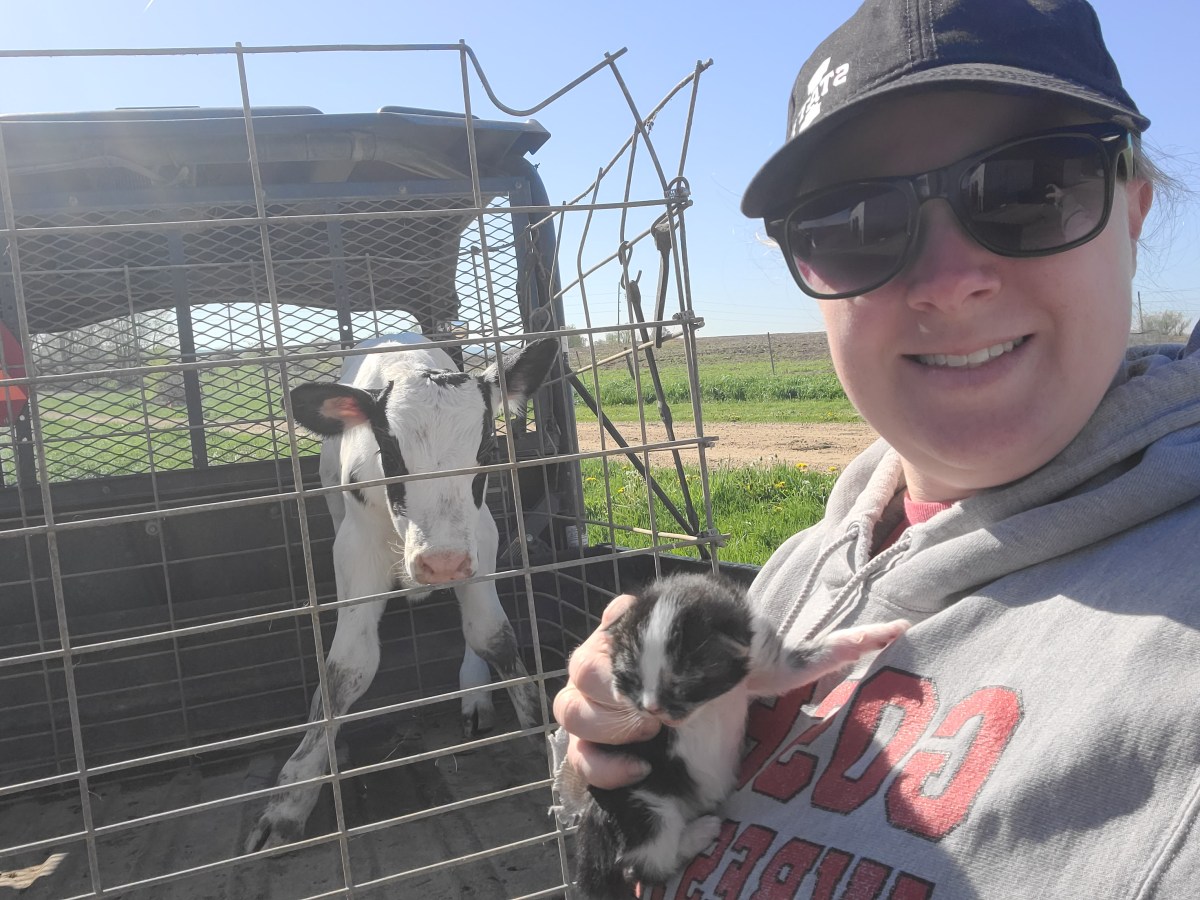 Just Let Them – Caring for Calves and Kids